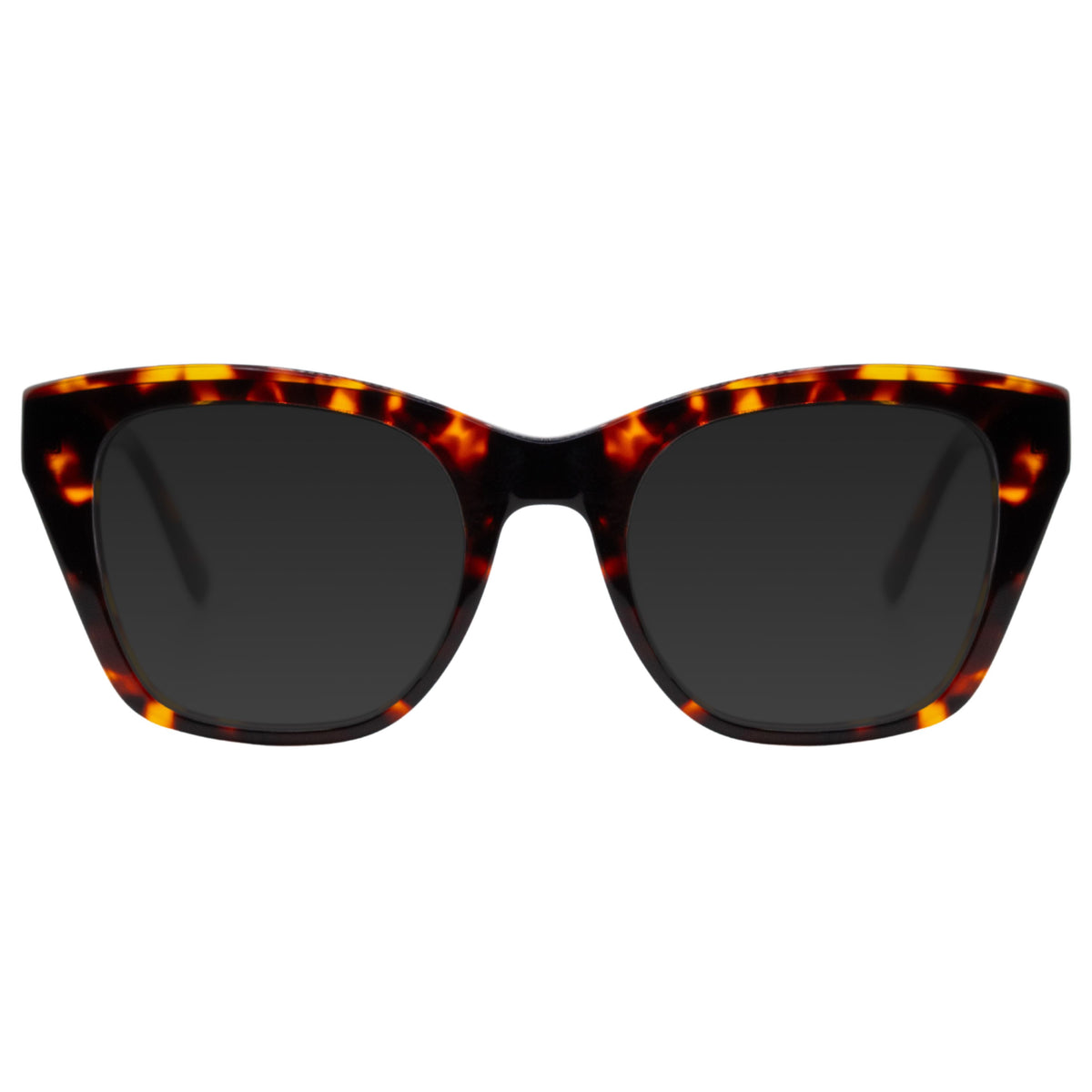 Robin | EYEBAR HOUSTON